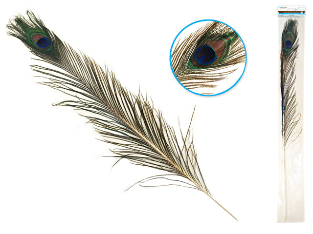 Feather Craft: 31"-35" Real Peacock Feather – Crafts N' Things Hobbies ...